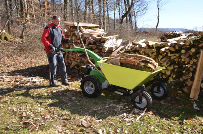 Kruiwagen Minicargo 205-400kg - rajo.be